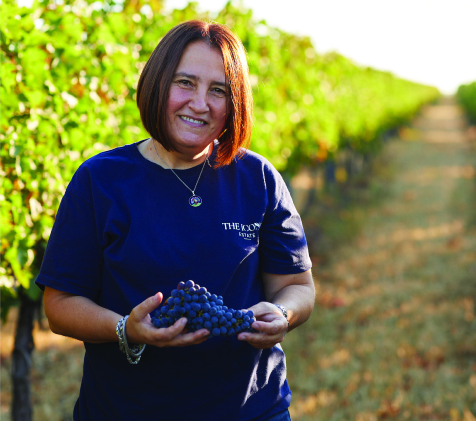 Rhein Extra - Rhein & Cie Azuga 1892 Cellar
